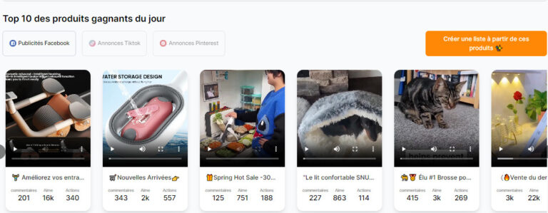 Minea Review 2024 : Features, Pricing, Pros & Cons - Dropispy